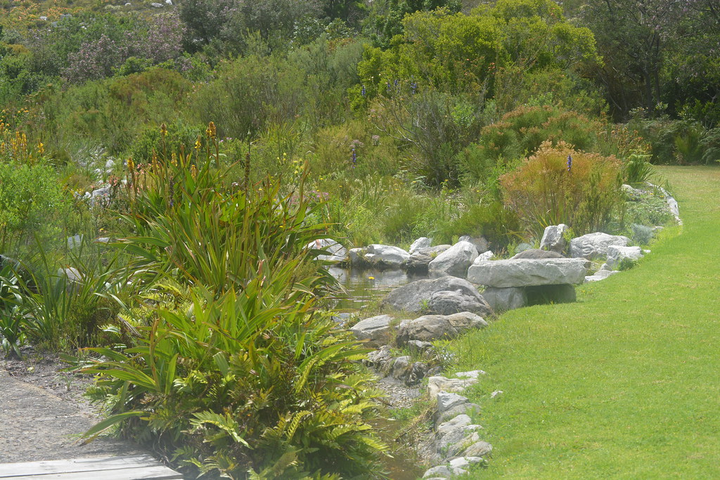 Celebrate National Gardens Week – The Voice of Africa – The Nations Speak