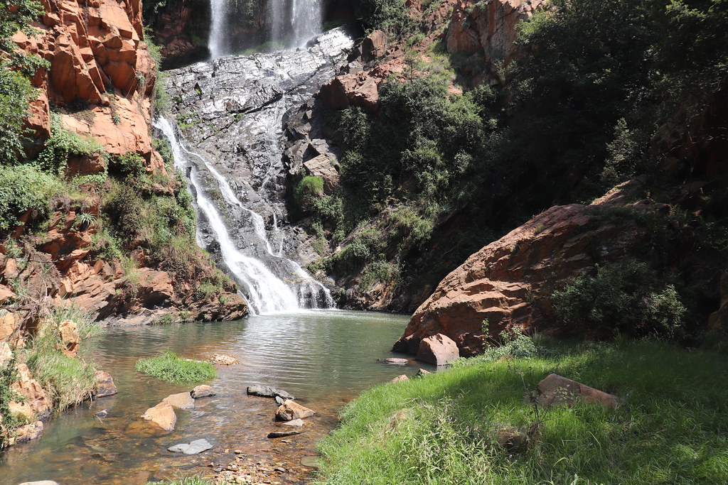 Celebrate National Gardens Week – The Voice of Africa – The Nations Speak